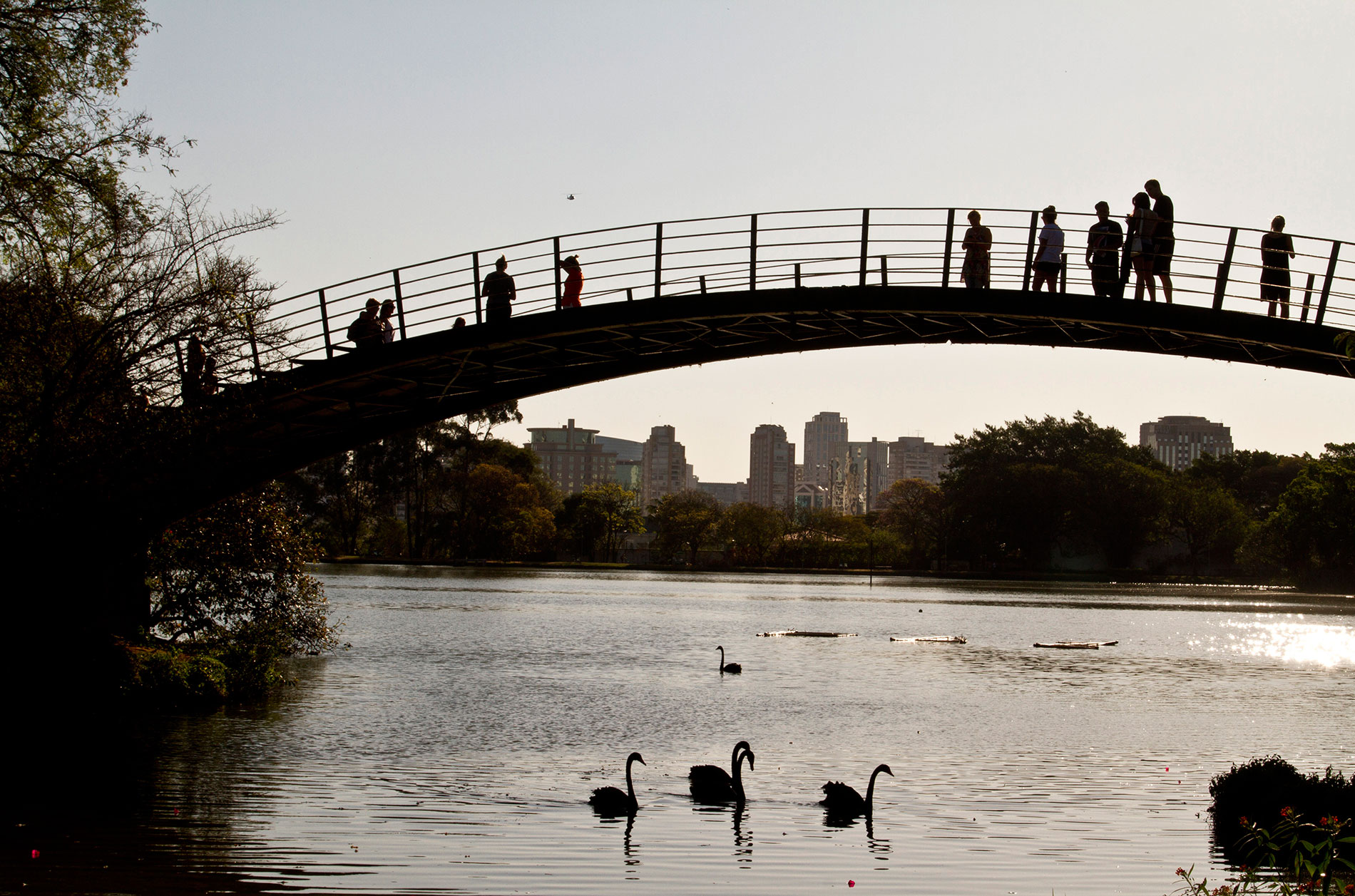 São Paulo possui o melhor parque urbano do planeta