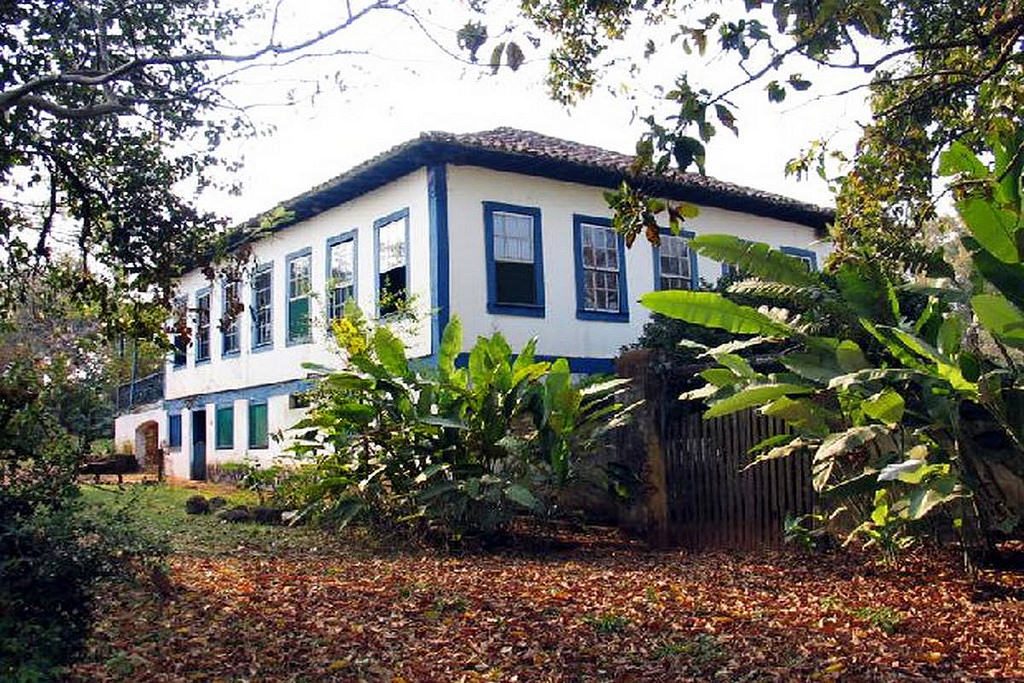 Por dentro das fazendas de café de São Paulo! - Projeto São Paulo City